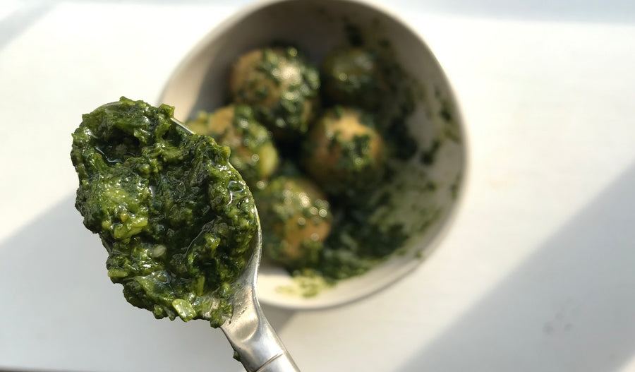 All things pesto. – Citizens of Soil