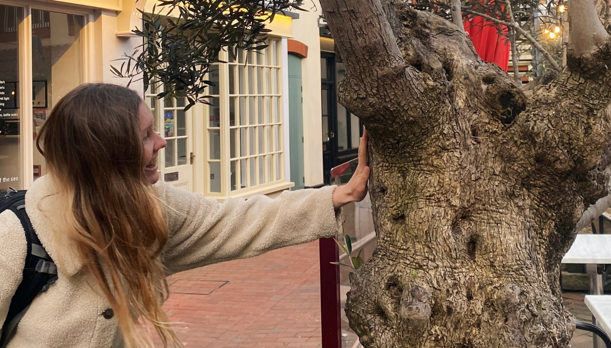 Olive tree spotting – Citizens of Soil